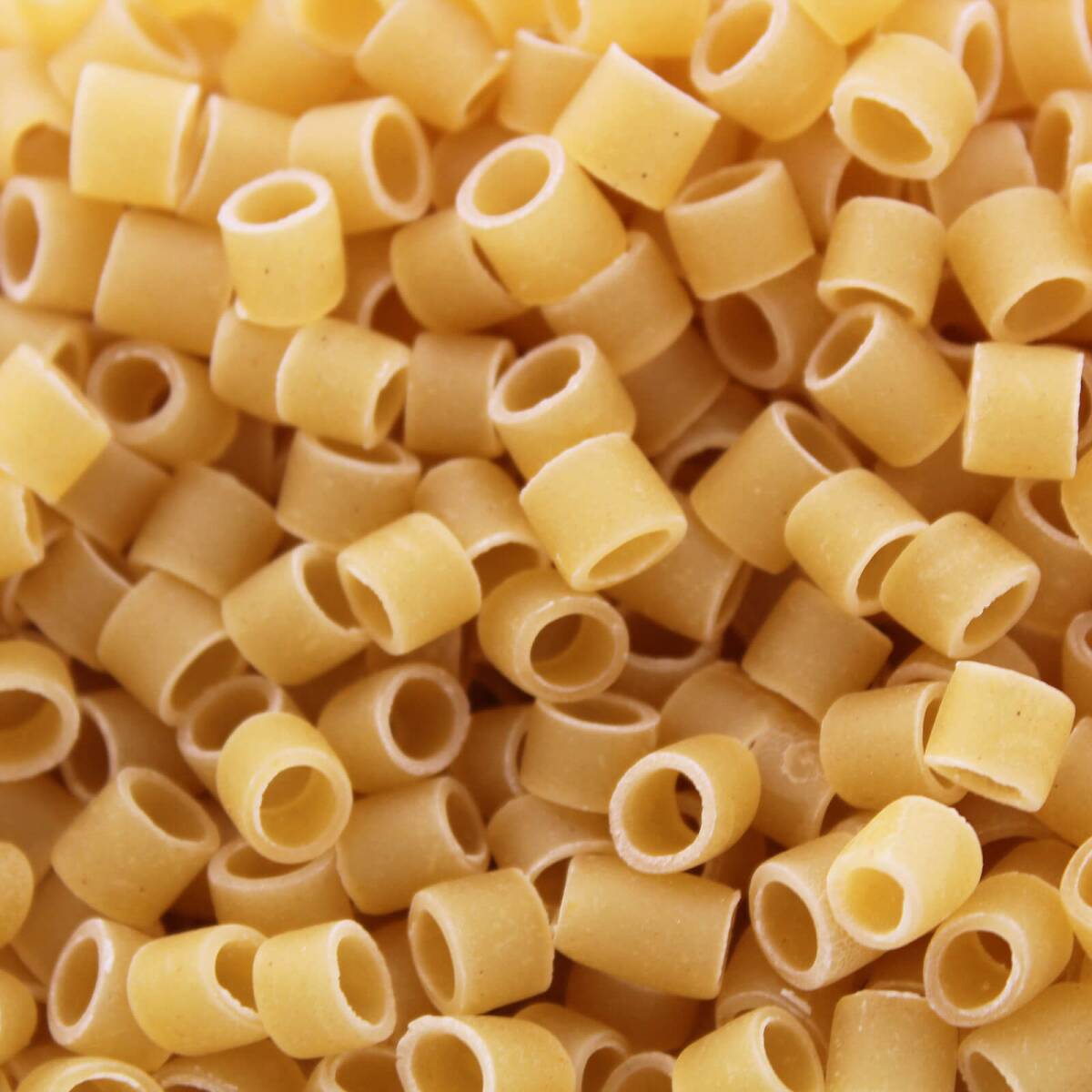 Locawo - High Protein & Low Carb Corallini | Pasta | Nudeln